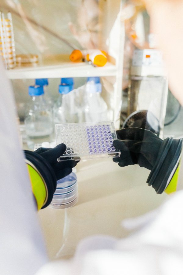 Microviable Therapeutics | Microbiota Analysis